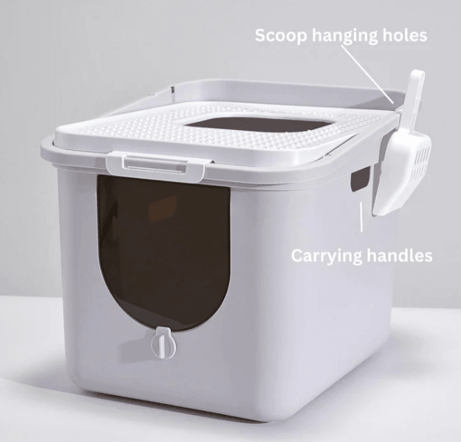 Top Entry vs. Traditional Litter Boxes: Which Is Right for You and You ...