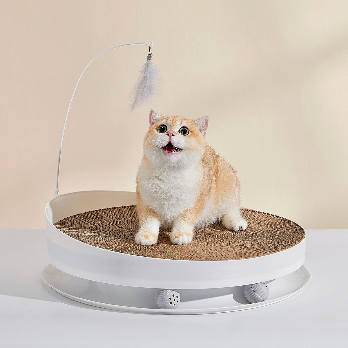 3 in 1 Circle Cardboard Lounge Cat Scratcher Toy – PETBESTY